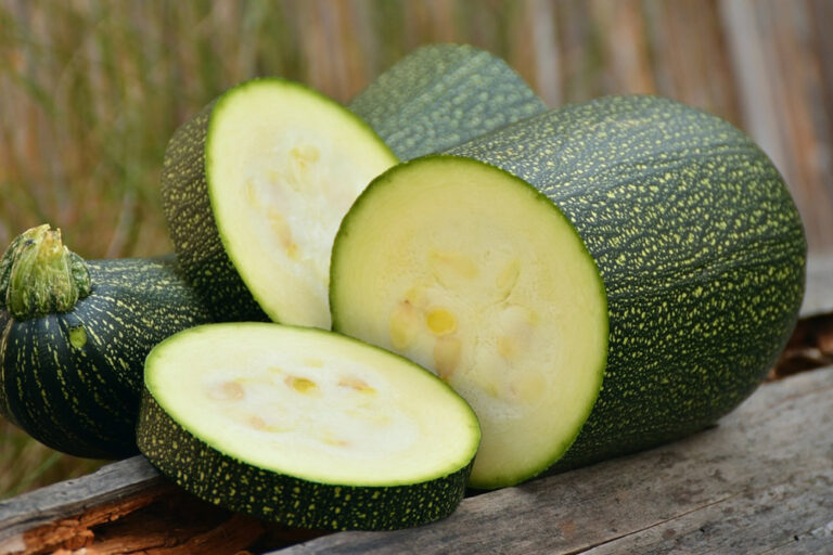 Zucchini | Pilmifresh