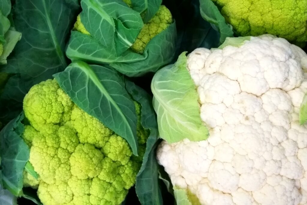 Floret Mix | Pilmifresh