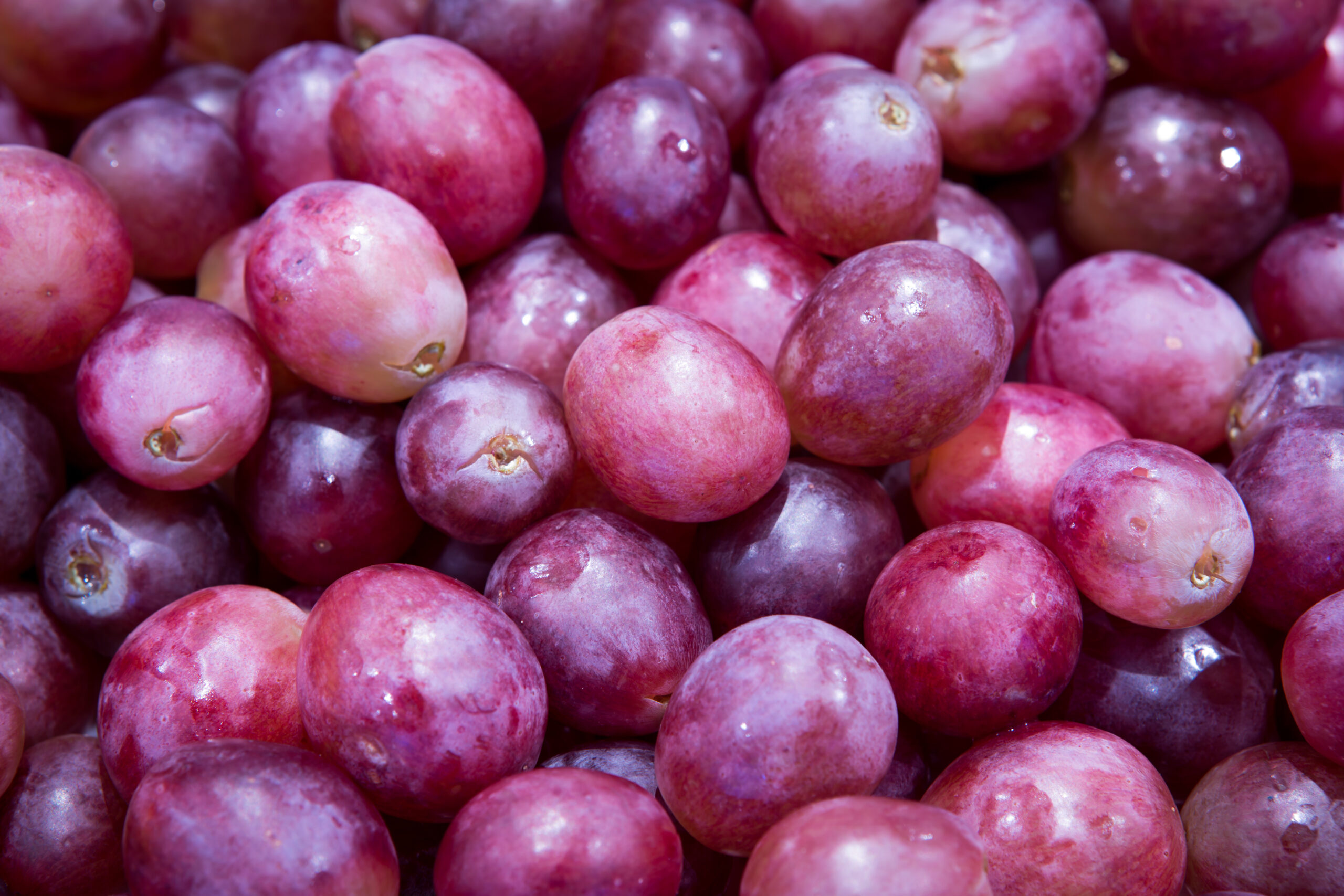 What is Grape Concentrate? | Pilmifresh